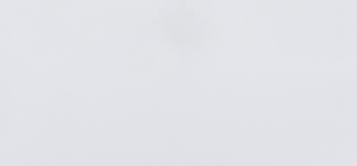 Thassos BQ206 Quartz - Elegant White Countertops & Walls